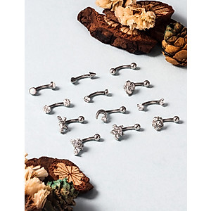 Vsnnsns 16G Rook Daith Piercing Jewelry Stainless Steel 8mm Curved Barbell Eyebrow Rings Helix Tragus Belly Lip Rings CZ Piercing Jewelry Cartilage Daith Rook Earrings for Women Men 12pcs Silve