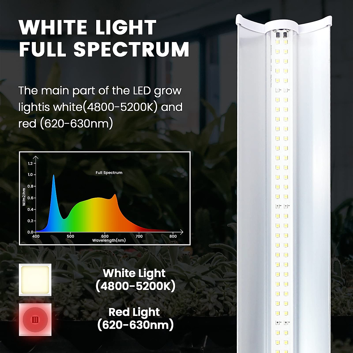 iPower 2 Feet LED Grow Light Stand Natural White Full Spectrum for Indoor Plant Starting Seeds and Propagating Cuttings, Height Adjustable