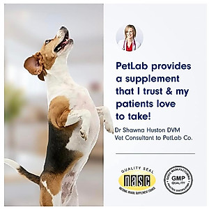 PetLab Co. 22 in 1 Dog Multivitamin - Support Dog's Immune Response, Skin, Coat, Joints & Overall Health - Vitamins A, E, D, B12, Minerals, Antioxidants - Chewable Pork Flavor