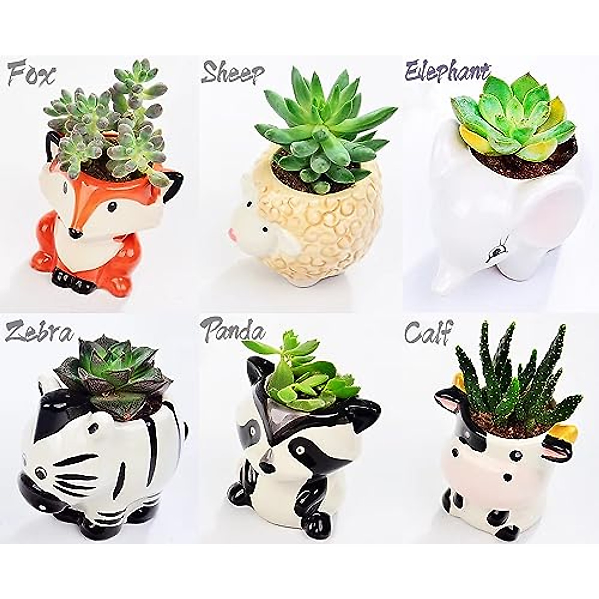 6 Pcs Air Plant Holders Cartoon Shaped Small Succulent Pot Animal Planter Small Ceramic Plant Pot with Drainage for Mini Plant Cactus Flower, Tillandsia Air Fern, Display Stand Home, Office Desktop
