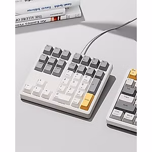 FJÄDRAR Mechanical Number Pad, 34 Key Hot Swappable Numpad with Gateron Brown Switches, USB Wired Numeric Keypad with PBT Keycaps White Backlit Number Pad for Laptop, MacBook,PC Desktop