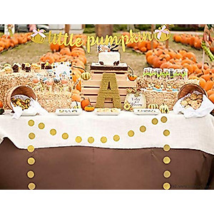 Gold Glittery Little Pumpkin Banner for Pumpkin Baby Shower Party Decorations, Thanksgiving Fall Theme Baby Shower Kid’s Birthday Party Decorations