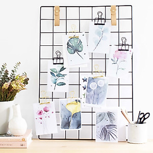 Colour Up Your Day Cute Watercolor Botanical Greeting Cards Box of 24 cards with Envelopes and Seal Stickers. All Occasion Blank Thank you cards, Appreciation, Birthday, Sympathy