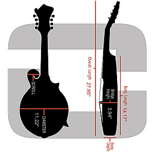 Crossrock Hard Shell Case for F-Style Mandolin in Black(CRW620MFBK)