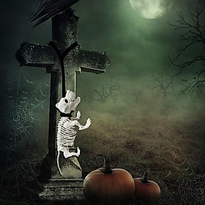 Wocst Halloween Skeleton 19” Pose-N-Stay Puppy Skeleton Plastic Dog Bones with Posable Joints Graveyard Prop for Fall Party Decor Indoor/Outdoor (Skeleton Dog)