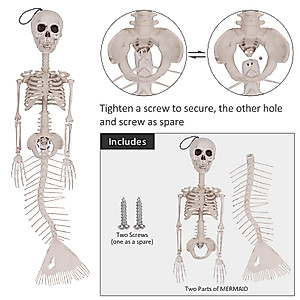 DECORLIFE 30" Mermaid Skeleton, Skeleton Halloween Decoration, Hanging Posable Halloween Prop for Haunted House, Trunk or Treat, Bathroom