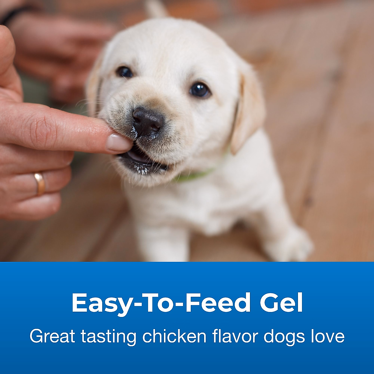 Pet-Ag High Calorie Gel Supplement for Dogs - 5 oz, Pack of 2 - Chicken Flavor - Provides Extra Calories for Dogs 8 Weeks and Older - Easy to Digest