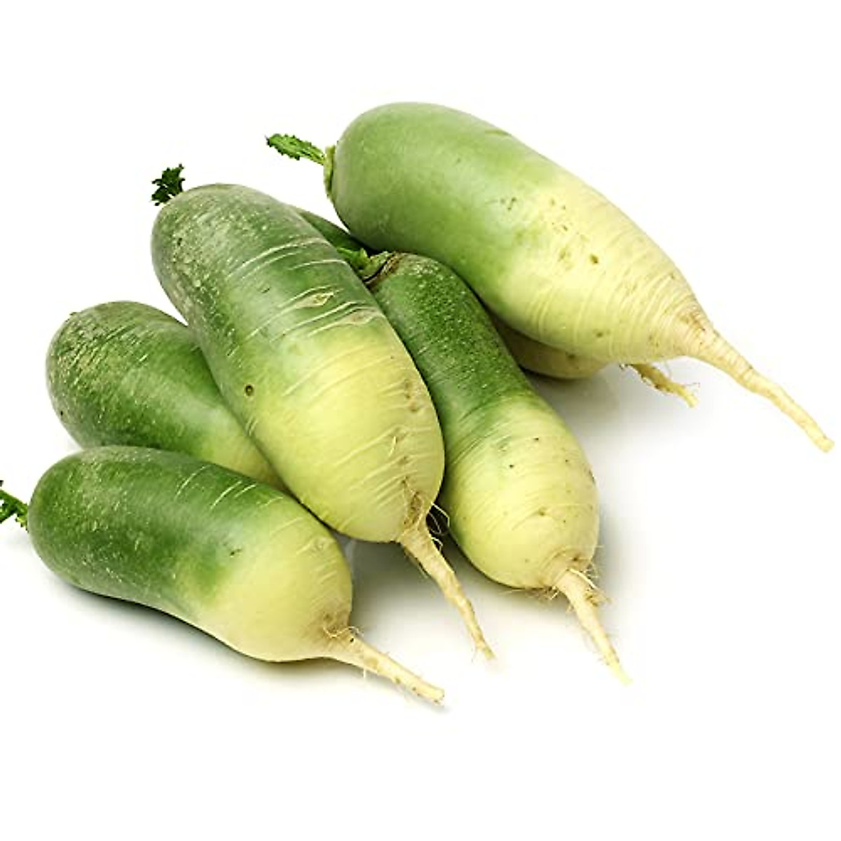 David's Garden Seeds Radish Green Luobo Improved 5453 (Green) 200 Non-GMO, Heirloom Seeds