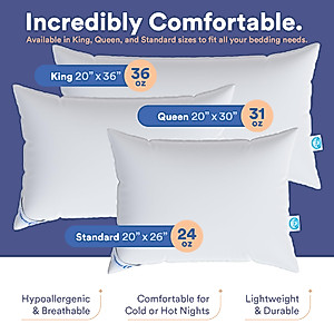 Continental Bedding Luxury Down Pillows King Size Set of 2 - Family Made in New York - Breathable Bed Pillows for Sleeping on Side Sleepers - 550FP Firm, Moderate Firmness and Loft