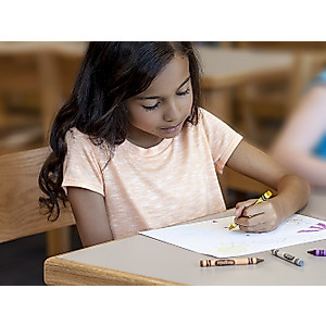 Crayola Crayons Bulk, 369 Box