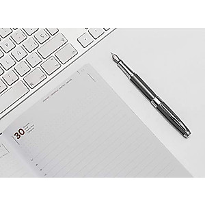 ZenZoi Gray Fountain Pen | Luxury Fountain Pen, Executive Pen for Men, Women | Pen Gift Box W/Refillable Metal Pen, Fine Nib, Converter & 2 Ink Refill | Elegant, Quality, Fountain Pens for Writing