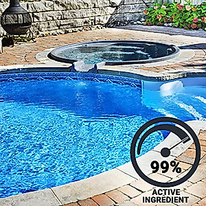 Spa Depot DiChlor Hot Tub Sanitizing Shock, Best Choice Chlorine Granules, 2 lb. Each (2-Pack)