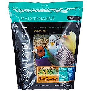 Roudybush Daily Maintenance Bird Food, Nibles, 44-Ounce