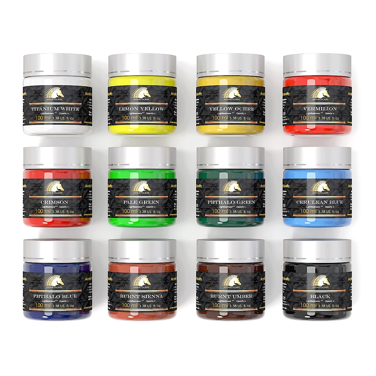 MyArtscape Acrylic Paint Set - 12 x 100ml Bottles - Artist Quality Paints - Lightfast - Heavy Body - Highly Pigmented Colors with Great Coverage - Professional Art Supplies