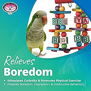 Super Bird Creations SB448 Katy's ABC Jr. Bird Toy, Medium Bird Size, 7" x 5" x 1.5"