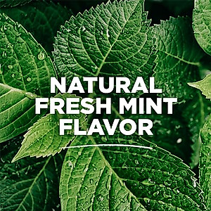 Tom's Of Maine Whole Care Natural Fluoride Mouthwash, Fresh Mint, 16 Oz (Pack of 3) (Packaging May Vary)