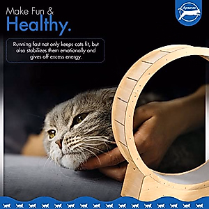 HYPULY Cat Exercise Wheel for Indoor Cats, Large 42.5 Inch Cat Treadmill Exerciser for Fitness and Healthy, Suitable for Most Cats