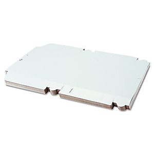 Southern Champion Tray 1029 Premium Clay Coated Kraft Paperboard White Non-Window Sheet Cake and Utility Box, 19" Length x 14" Width x 4" Height, 1/2 Sheet (Case of 50)