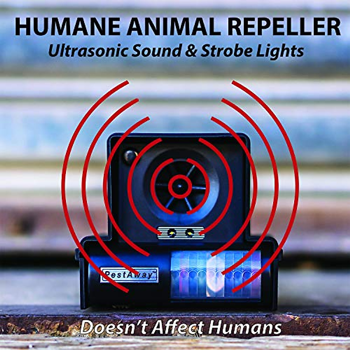 PREDATORGUARD PestAway Outdoor Animal & Cat with Motion Sensor Stops Animals Destroying Your Gardens & Yard