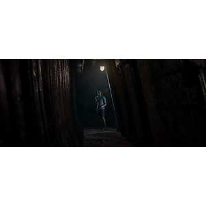 Namco Bandai The Dark Pictures: Man Of Medan (PS4)