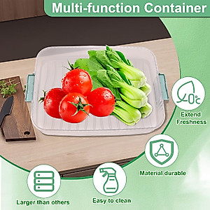 Food Storage Containers, Deli Meat Container for Fridge with Tong Cookie Containers with Lids Airtight Dumplings Freezer Containers for Deli Meat, Seafood, Dumplings, Cheese and Cookies (4 layer)