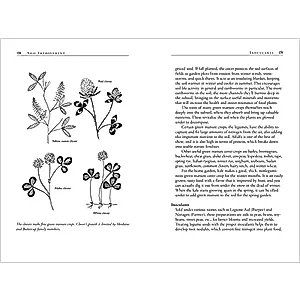 Carrots Love Tomatoes: Secrets of Companion Planting for Successful Gardening