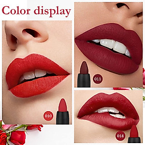 evpct 3Pcs Dark Ruby Deep Red Matte Lipstick and Lip Crayon Sticks Liner Pencil Set Red Matte Lip Liner and Liquid Stay on Lipstick 10&11&18