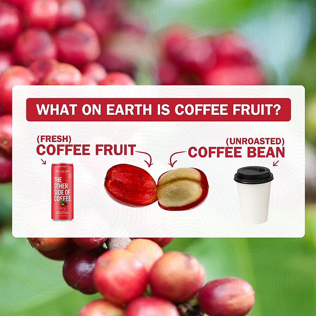 The Other Side of Coffee – Upcycled Coffee Fruit Juice Drink, Non-Carbonated, Antioxidant Rich, Low Caffeine (30mg), Low Calorie, Low Sugar, 100% Natural, 12 Fl Oz, Berry Flavor (Pack of 12)