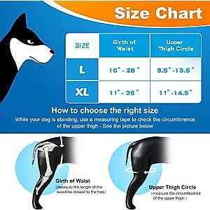 CHAMIN/RISURRY Dog Knee Brace with Adjustable Hinge Stabilizer, Dog ACL Knee Brace Support Osteoarthritis, Made with Premium Quality Neoprene(Right Leg,XL)