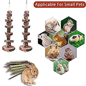 Fansisco Chinchilla Chew Toy Rabbit Chew Toys,Improve Dental Health,Molar Small Animals Toys Organic Apple Strings and Grass Sticks for Rabbits,Chinchillas,Guinea Pigs,Bunny,Hamsters Teeth Grinding