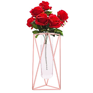 Test Tube Vases for Flowers, Glass vase with Metal Stand, Hydroponics Clear Planter Metal Glass Vase Hinged Art Vase Plant Holder Flower Vase for Modern Home Office Garden Wedding Decor(Rose Gold)