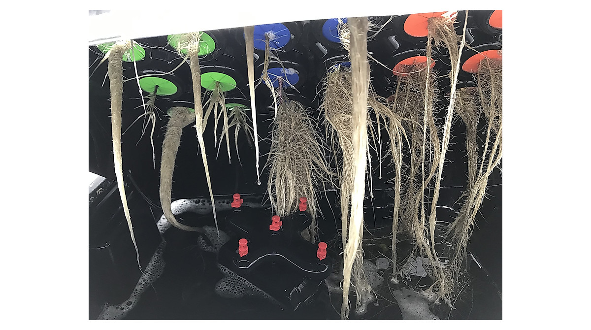 Viagrow® VCLN24 Clone Machine 24 Site Aeroponic Hydroponic System ...