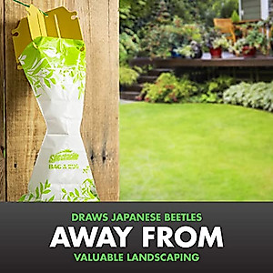 Spectracide Bag-A-Bug Japanese Beetle Trap, Dual Lure System