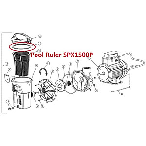 Pool Ruler Hayward SPX1500P (2 Pack + Grease) Above Ground Pump Strainer Cover O-Ring - PowerFlo and TurboFlo Pumps
