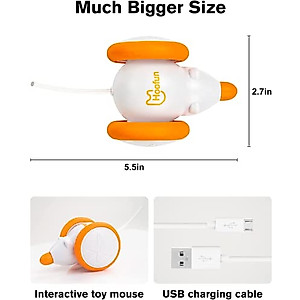 Hoofun Automatic Interactive Cat Toys for Indoor Cats: Pet Play Ball Kittens Electronic Rat Cats Toys with LED Lights Kitten Toys Mice Smart Toys, Cats Toys with Motion Wheel (Mouse)