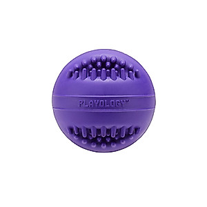Playology Pork Sausage Scent Dental Chew Ball Dog Toy, Small