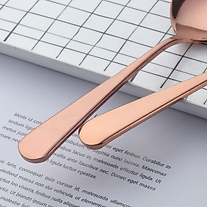 Broth Round Spoon Set, 8-Piece Reusable Stainless Steel Dinner Table Cereal Soup Spoon, Camping Ramen Spoons