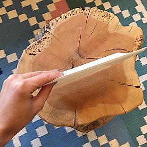 Susty Party 8-Inch Compostable Square Plates (50 Plates), Sugarcane Heavy Duty Disposable Biodegradable Plate, White