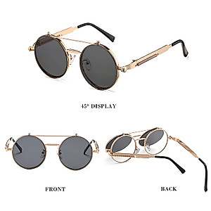 HJSTES Round Flip Up Sunglasses for Men Women Circle Rave Glasses 90's Vintage Steampunk Style(Gold/Grey)