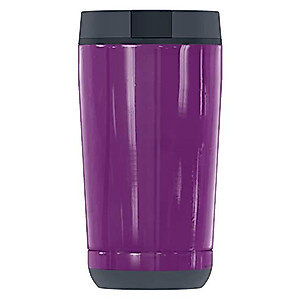 THERMOS Looney Tunes Tweety Bird Pose, GUARDIAN COLLECTION Stainless Steel Travel Tumbler, Vacuum insulated & Double Wall, 12oz