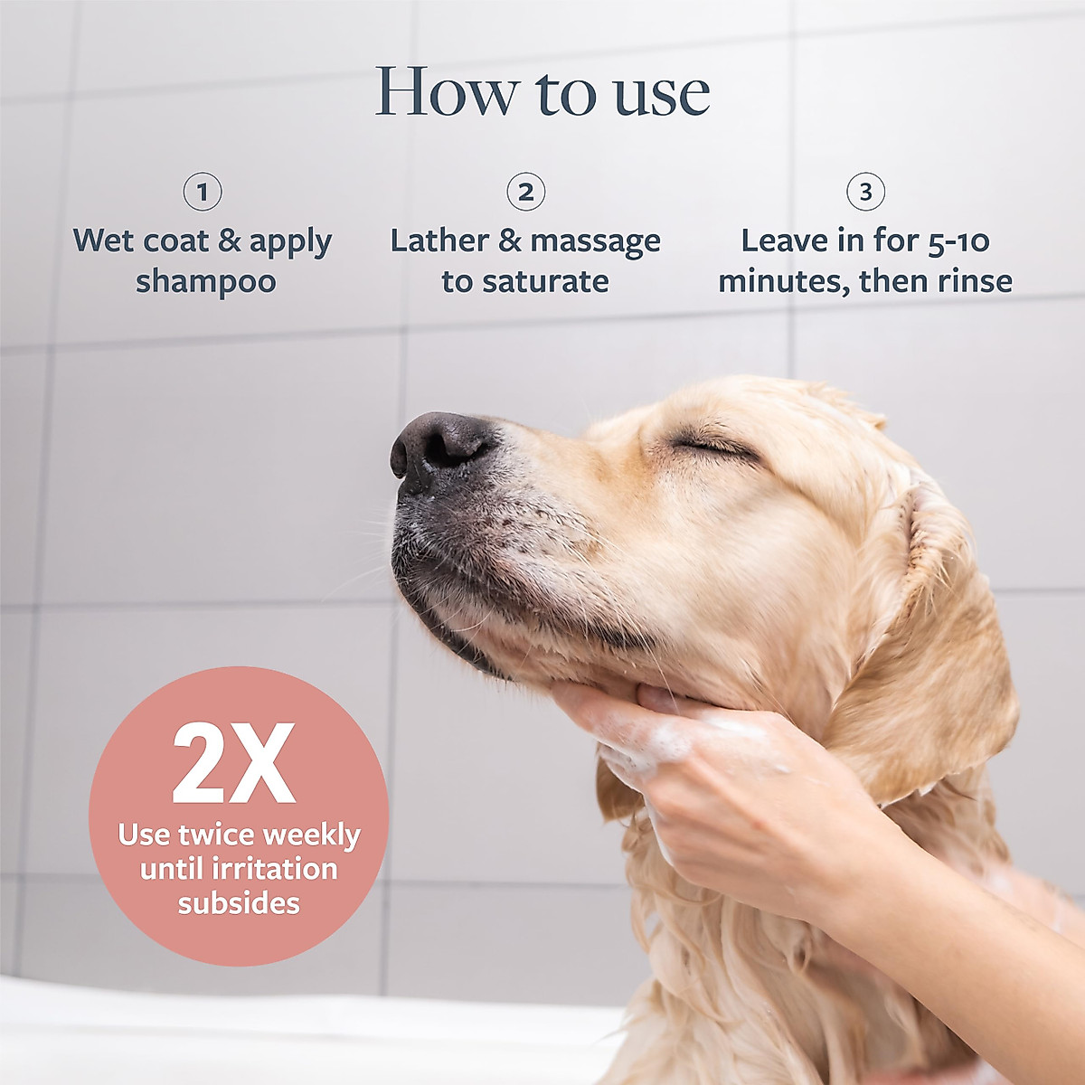 Veterinary Formula Clinical Care Hot Spot & Itch Relief Medicated Shampoo for Dogs and Cats 16oz – Helps Alleviate Sensitive Skin, Scratching, and Licking of Coat