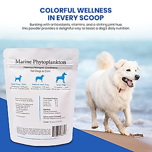 Mr. Ros Marine Phytoplankton: Supercharge Your Dog's Health (2.12 oz / 60 g). Essential Nutrients for Shiny Coat, Strong Joints & Overall Wellbeing