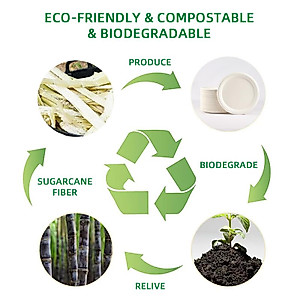 JOYFULOCEAN Paper Plates 7 inch 125 Pieces, 100% Compostable Disposable Paper Plates, Heavy-Duty Natural Biodegradable Eco-Friendly Sugarcane Fibers Party Plates(White)[PFAS-Free][BPI Certified]