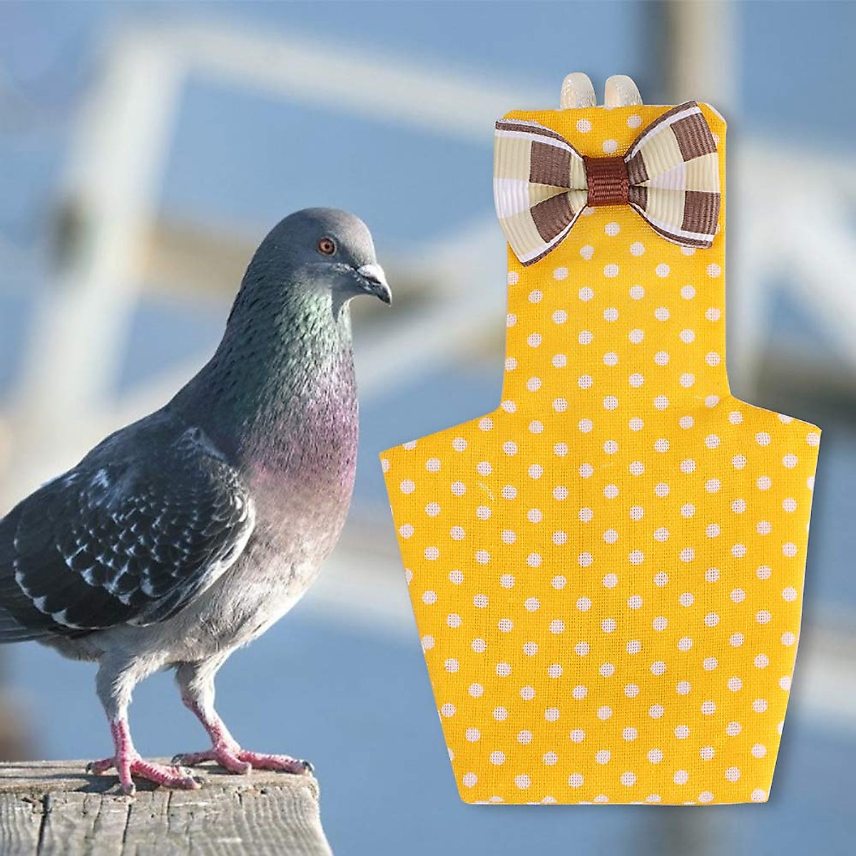 GLOGLOW Birds Diaper, Reusable Birds Flight Suits Nappy Diaper Clothes Washable Flight Nappy Parrot Diaper Nappies Parrots Pigeons Diaper (Yellow M)