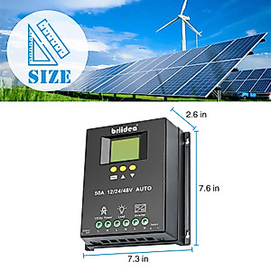 briidea Automatic Transfer Switch, 50A 5500 Watt ATS Dual Power Controller for Off Grid Solar Wind Systems DC 12V 24V 48V AC 110V 220V