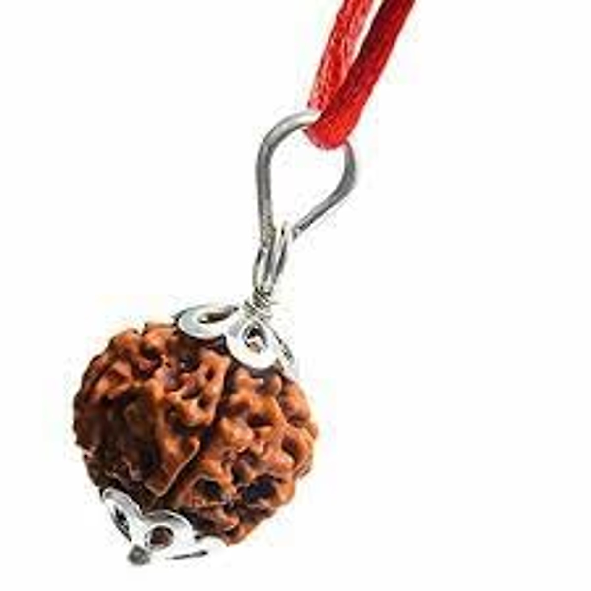 IndianStore4All 6 Mukhi Nepal Rudraksha Penadnt 100% Original Six Face Rudraksha