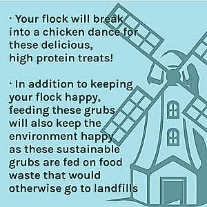 New Country Organics | Flock Perfect Chicken Dance Grubs for Chickens | 3.5 lbs