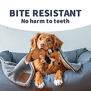 ALL FOR PAWS Squeaky Dog Toys,Animal Plush Dog Toy,Stuffed Dog Toys,Puppy Toys for Teething Small Dogs