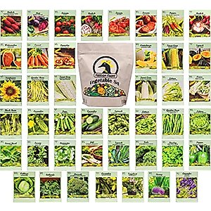 Set of 43 Assorted Vegetable & Herb Seed Packets - Over 10,000 Seeds! - Includes Mylar Storage Bag - Deluxe Garden Heirloom Seeds - 100% Non-GMO