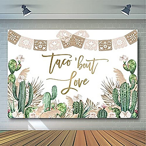 Avezano Taco Bout Love Bridal Shower Backdrop Boho Pampas Grass Bridal Shower Photography Background Fiesta Cactus Mexican Bridal Shower Bachelorette Wedding Party Decoration Photoshoot (7x5ft)